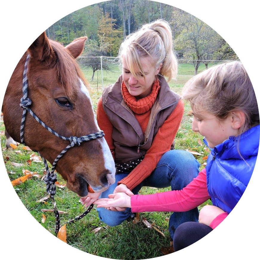 La thérapie avec le cheval - Equithérapie - Ergothérapie - Handicap