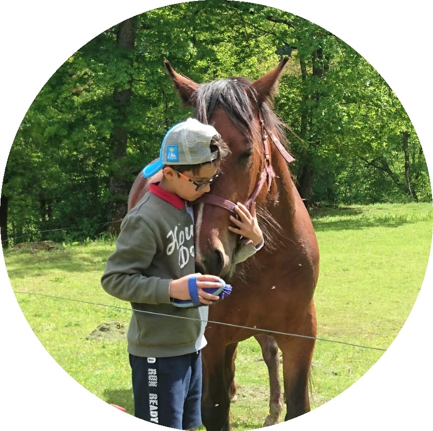 La thérapie avec le cheval - Equithérapie - Ergothérapie - Handicap